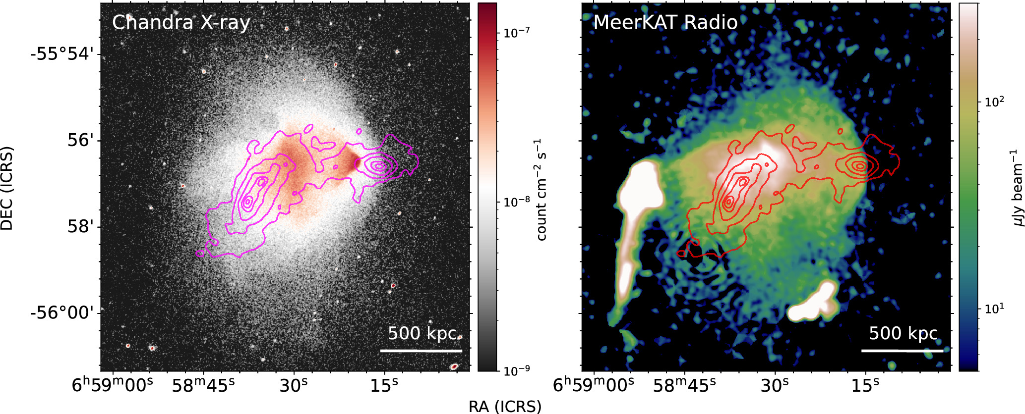 A High-Caliber View of the Bullet Cluster through JWST Strong and Weak ...