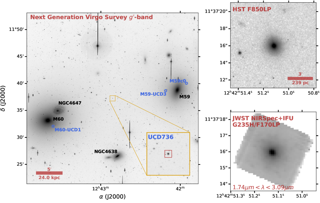 A Supermassive Black Hole in a Diminutive Ultracompact Dwarf Galaxy ...