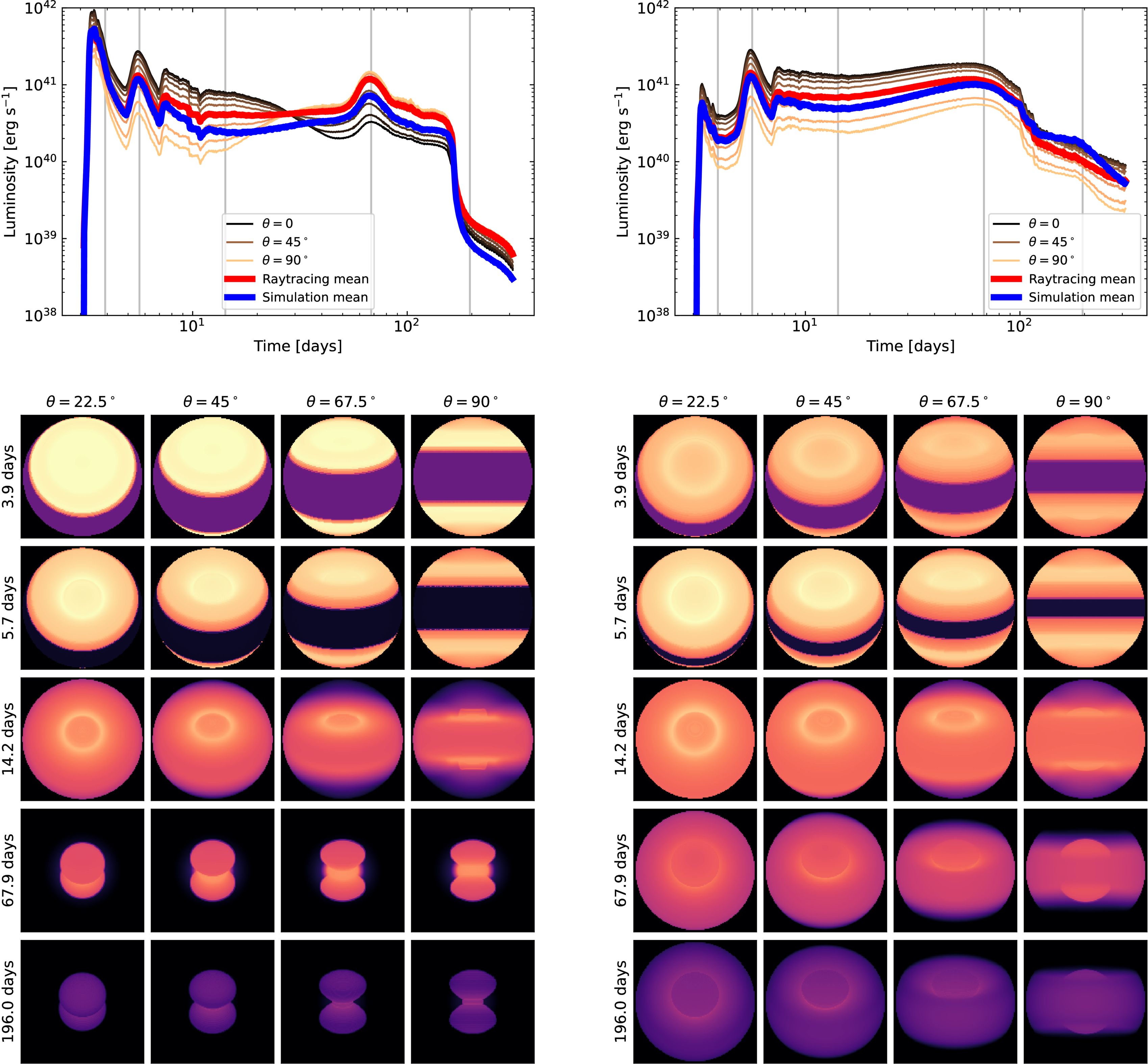 Two-dimensional Radiation-hydrodynamic Simulations of Luminous Red ...