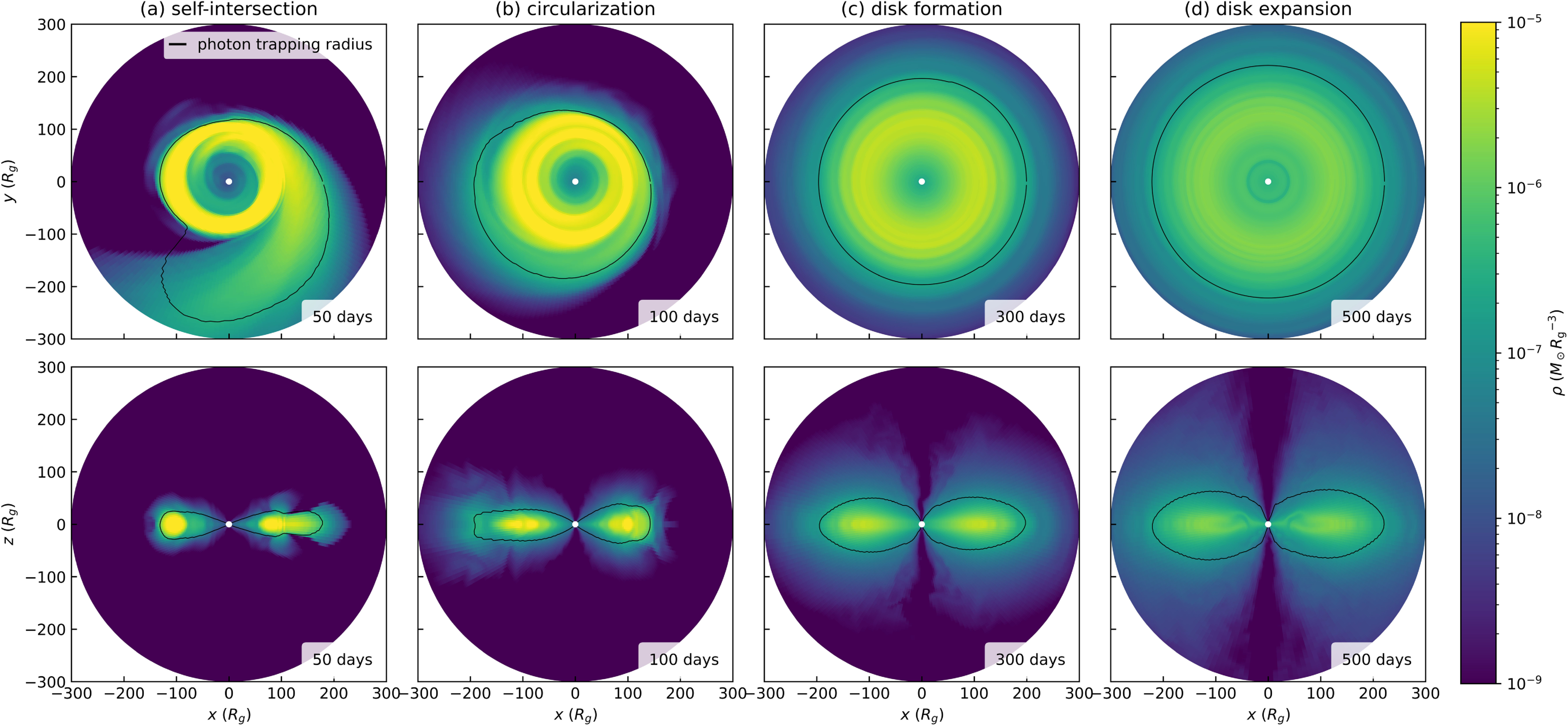 Simulations of Tidal Disruption of Supernova in Galaxy Nuclear Region ...