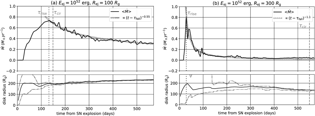 Simulations of Tidal Disruption of Supernova in Galaxy Nuclear Region ...