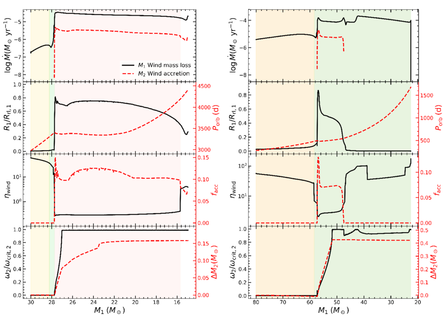 Formation of Be Stars via Wind Accretion: Case Study on Black Hole + Be ...