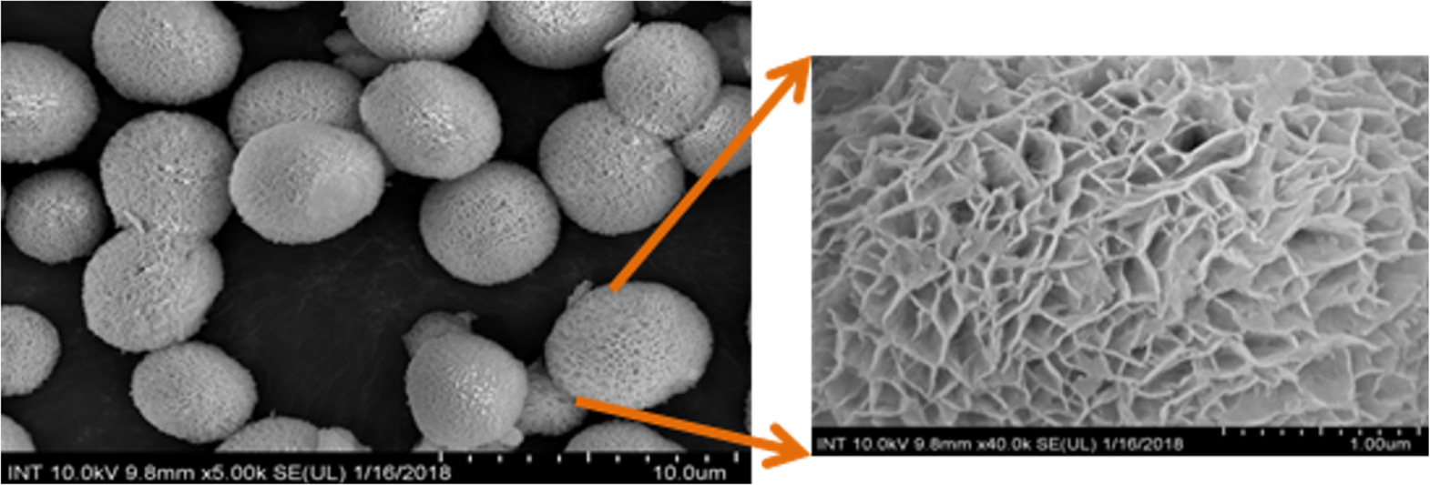 Fabrication of nano-catalyst ceria flower and catalyst characterization ...
