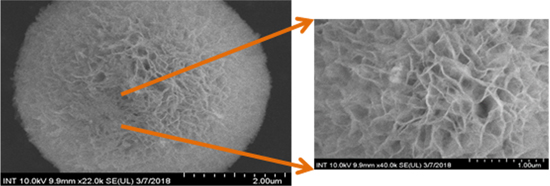 Fabrication of nano-catalyst ceria flower and catalyst characterization ...