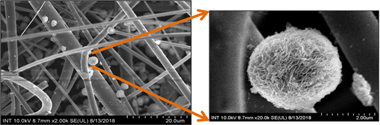 Fabrication of nano-catalyst ceria flower and catalyst characterization ...