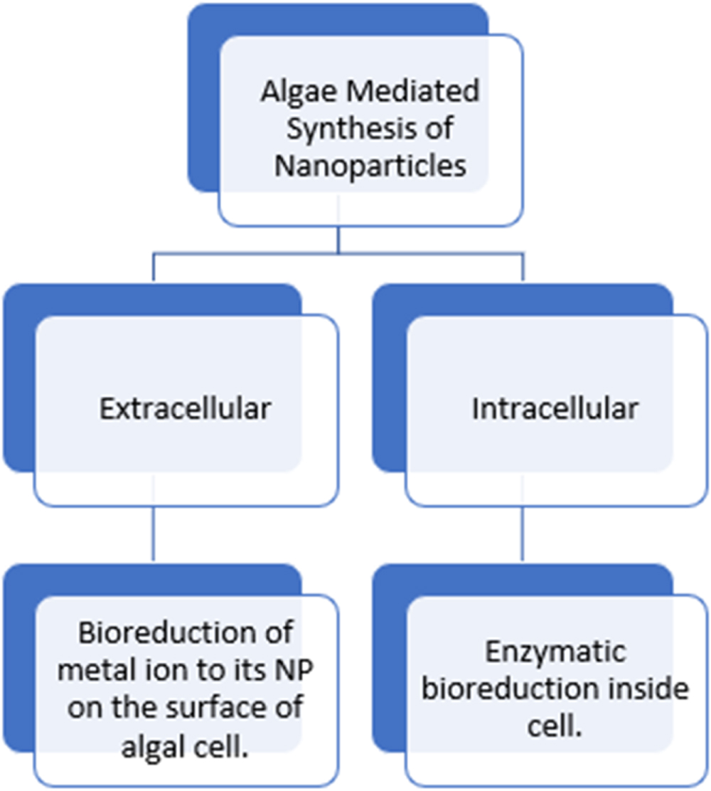 Algae-mediated synthesis of biogenic nanoparticles - IOPscience