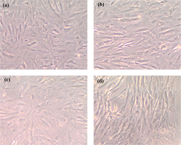 Preparation and characterization of PMMA/ZnO nanocomposites for ...