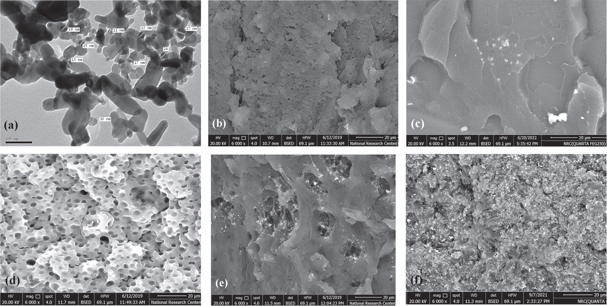 Preparation and characterization of PMMA/ZnO nanocomposites for ...