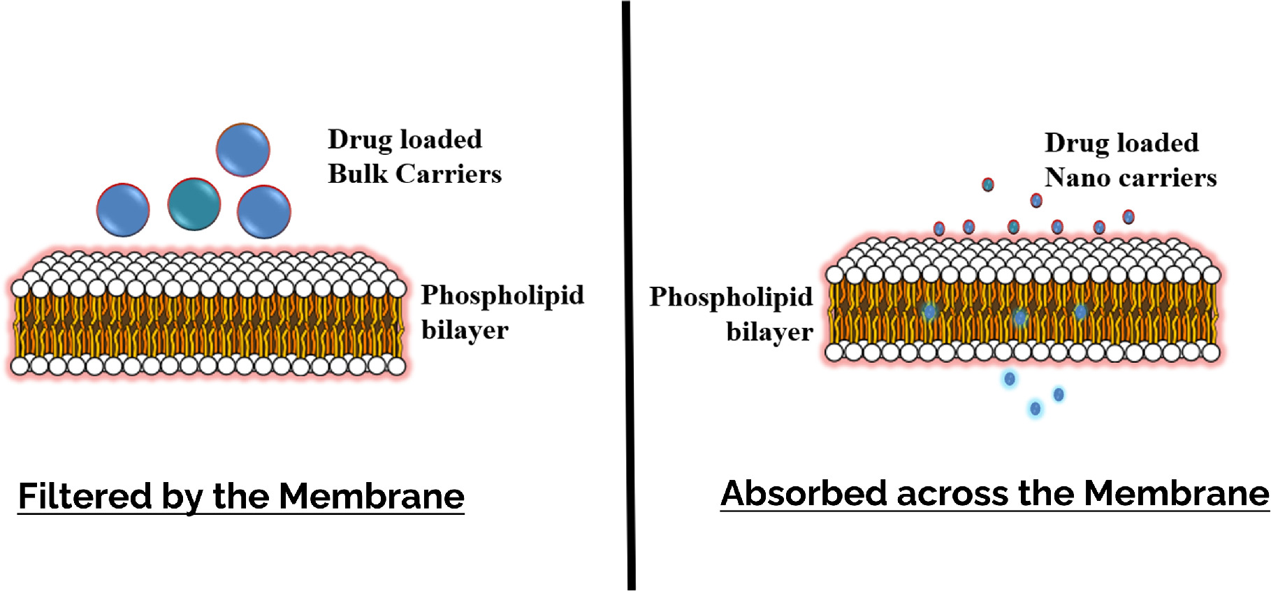 Importance of nano-carriers, surfactant system, and their loading ...
