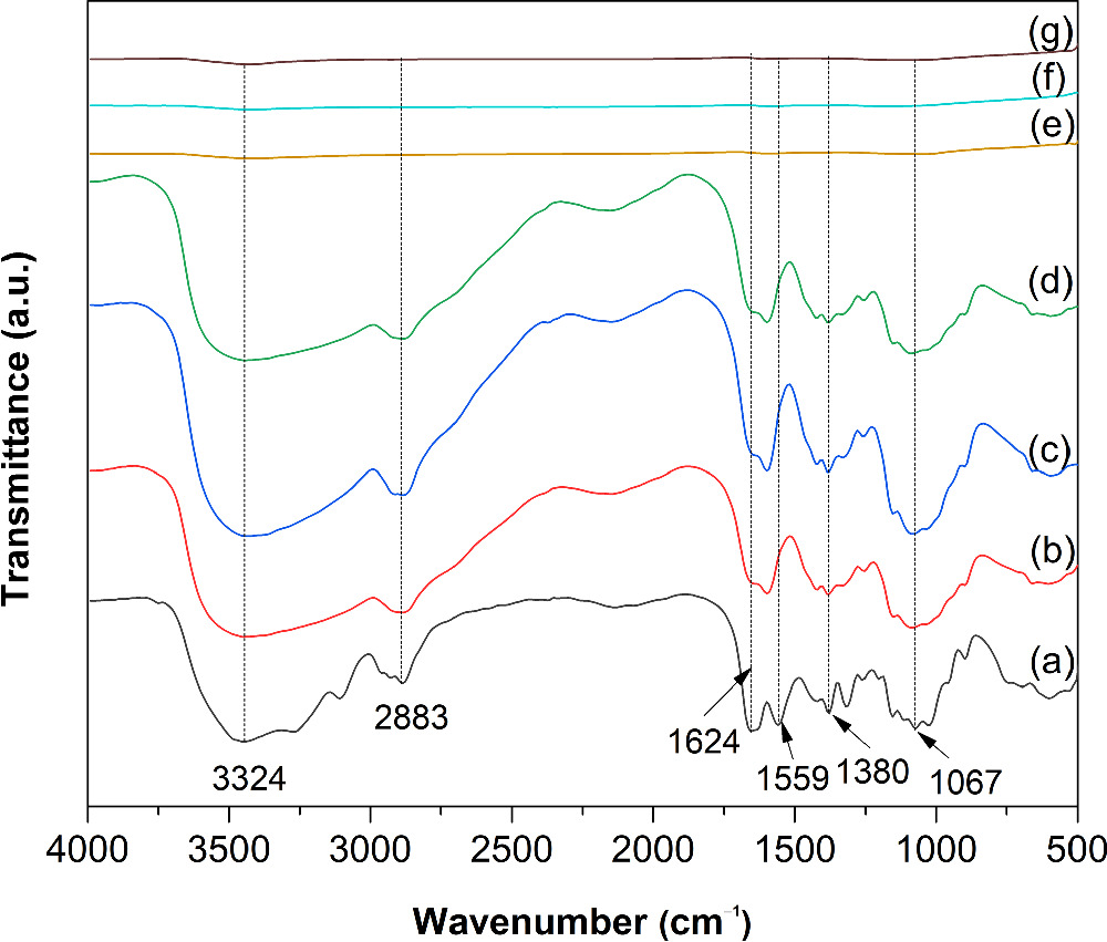 Chitosan derived N-doped carbon aerogel nanostructures for high-performance supercapacitors ...