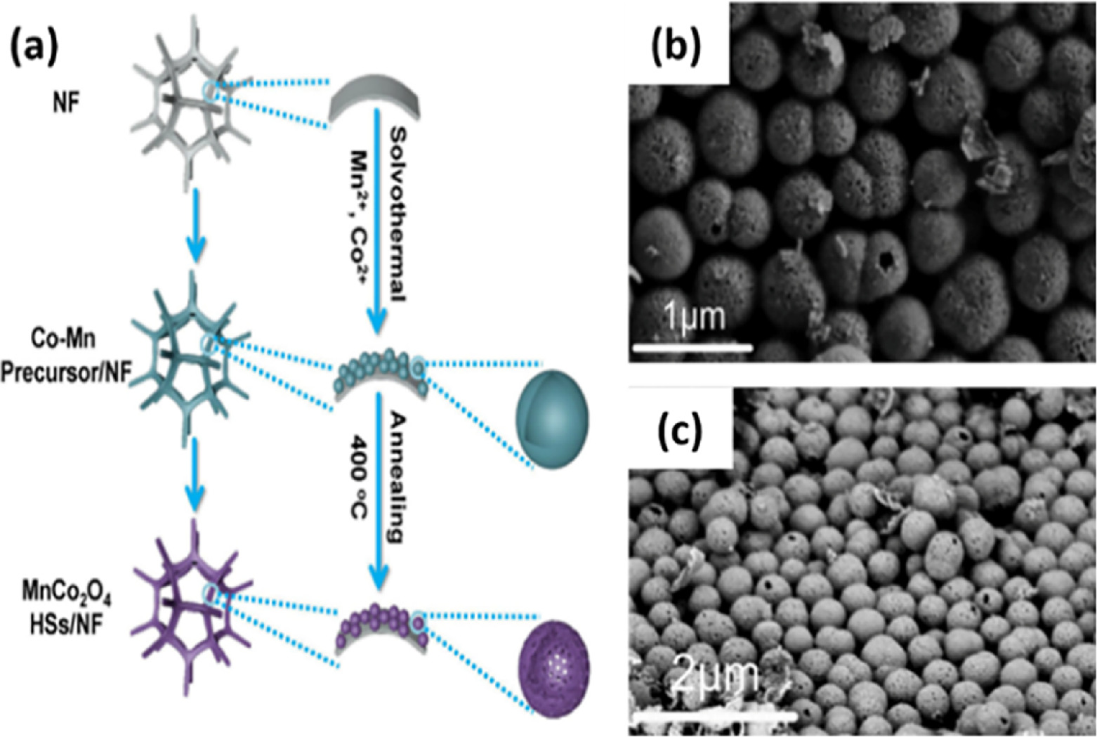 Insights on MnCo2O4 spinel nanostructures for supercapacitor ...