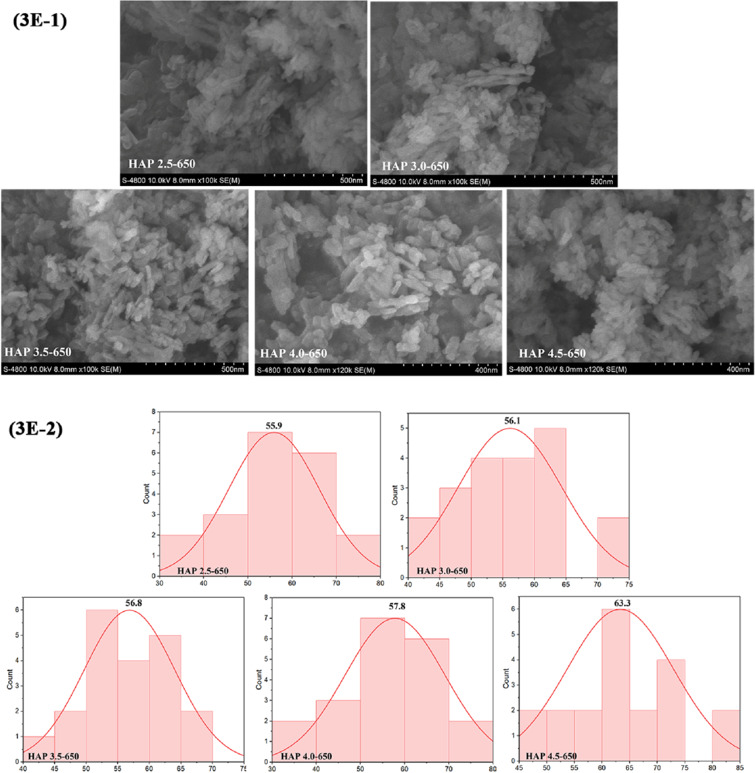 Characterization of nanosized hydroxyapatite from Lates calcarifer fish ...