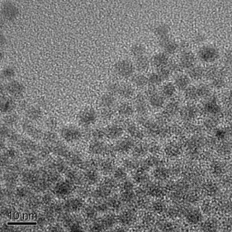 Biocompatible fluorescent zein nanoparticles for simultaneous ...