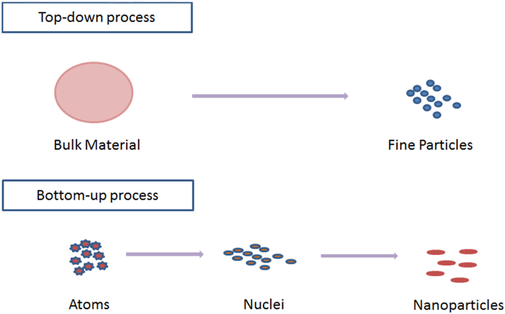 Phytofabrication of nanoparticles through plant as nanofactories ...