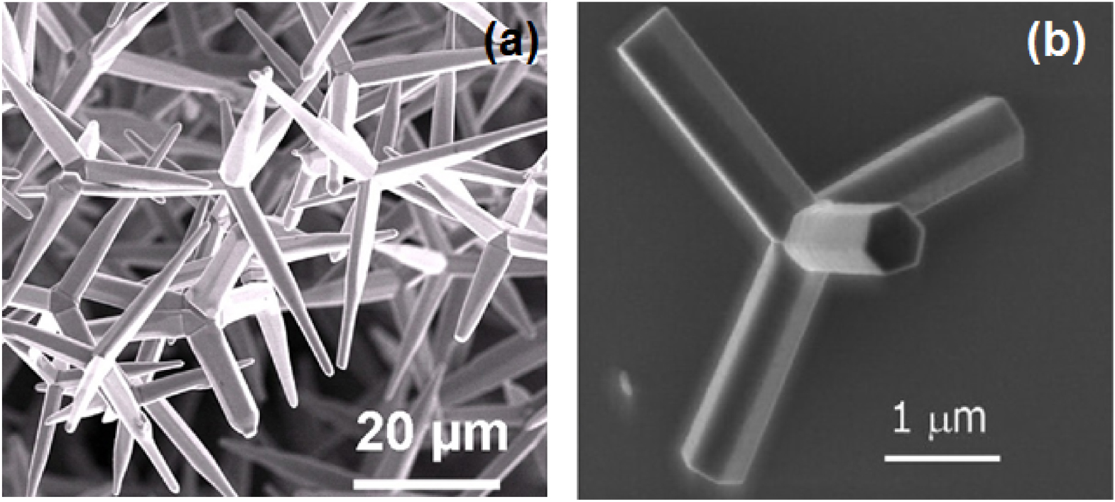 Zinc oxide tetrapod: a morphology with multifunctional applications ...
