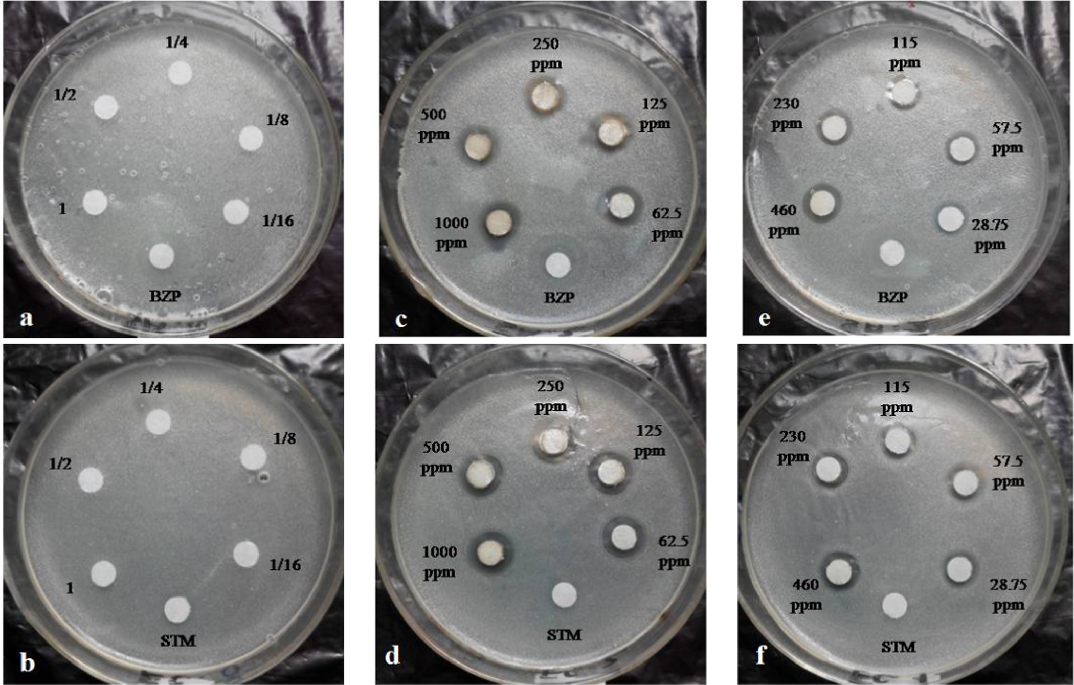Preparation and characterization of silver chloride nanoparticles as an ...