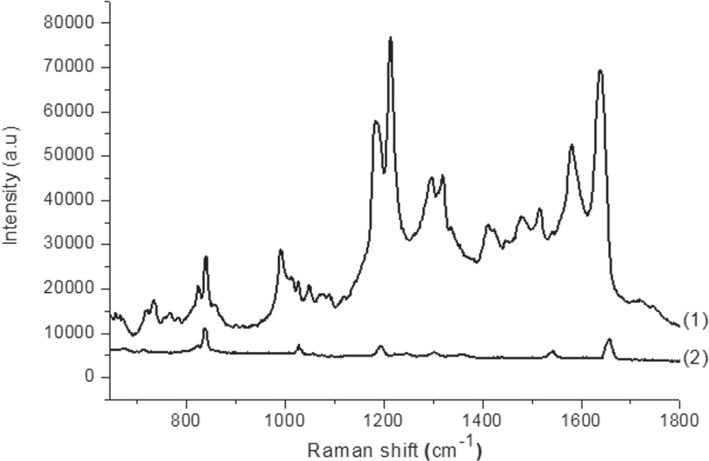 Application of silver nanodendrites deposited on silicon in SERS ...