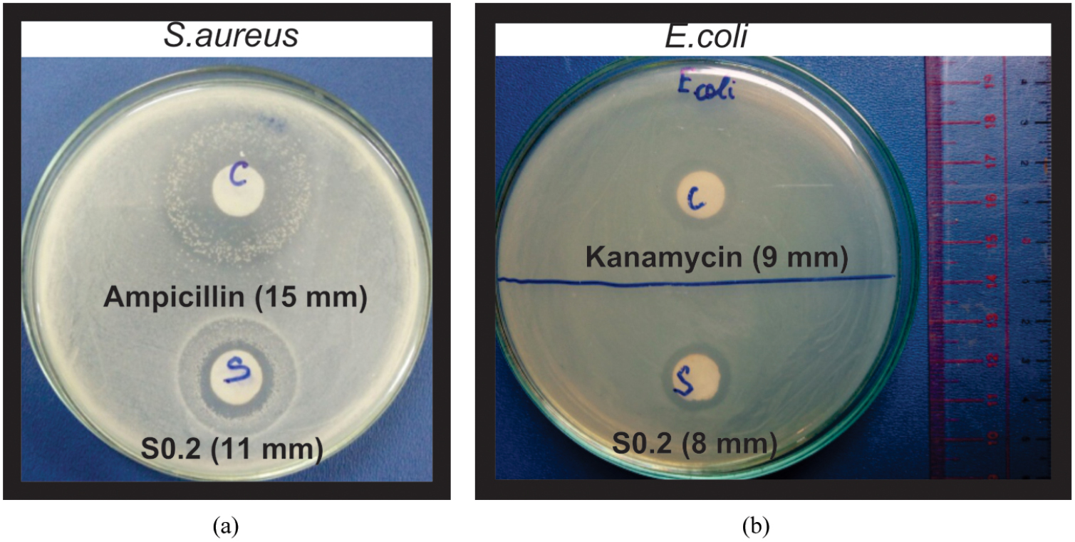 Synthesis and study of silver nanoparticles for antibacterial activity ...