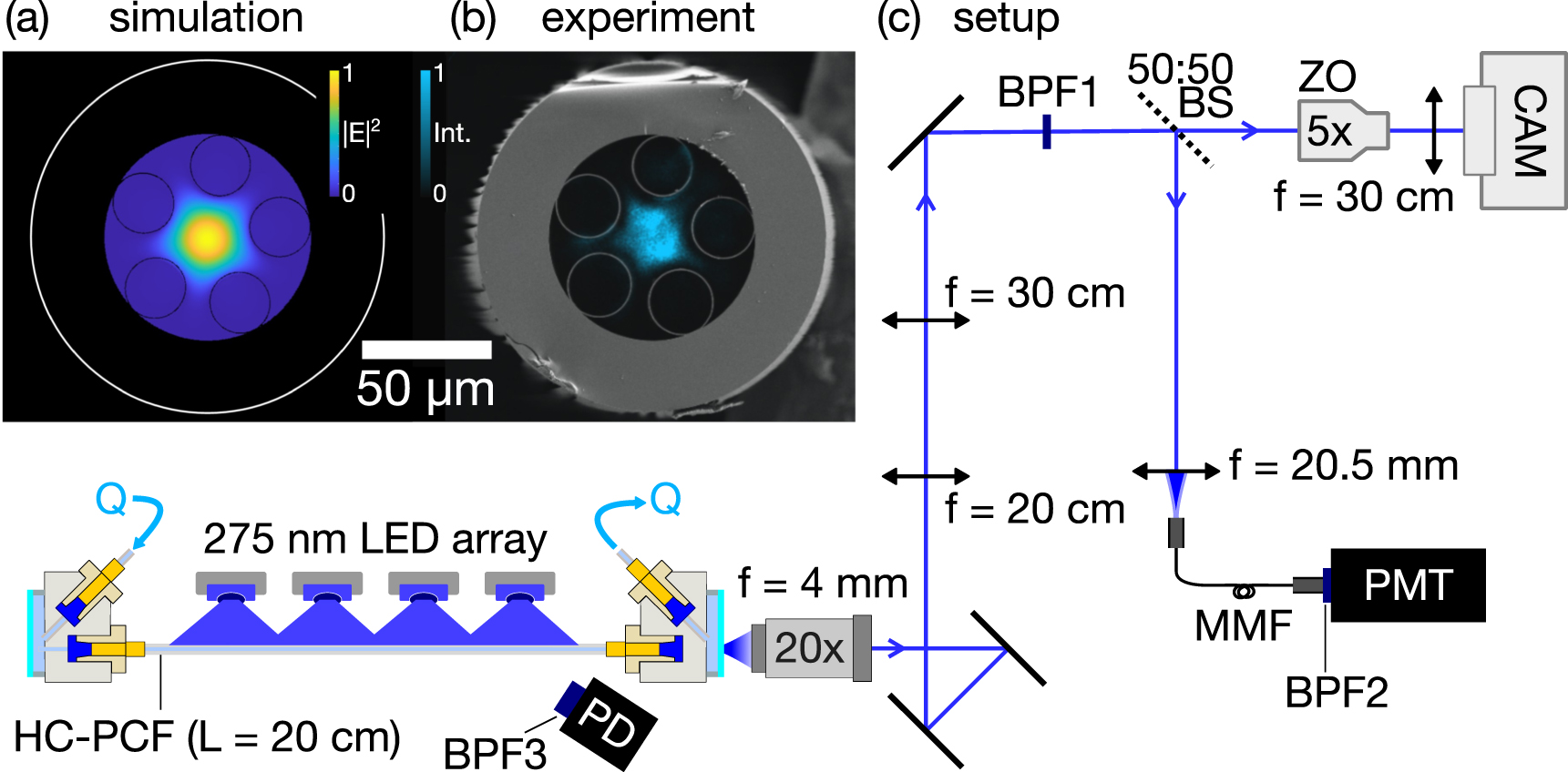 Label-free monitoring of proteins in optofluidic hollow-core photonic crystal fibres - IOPscience