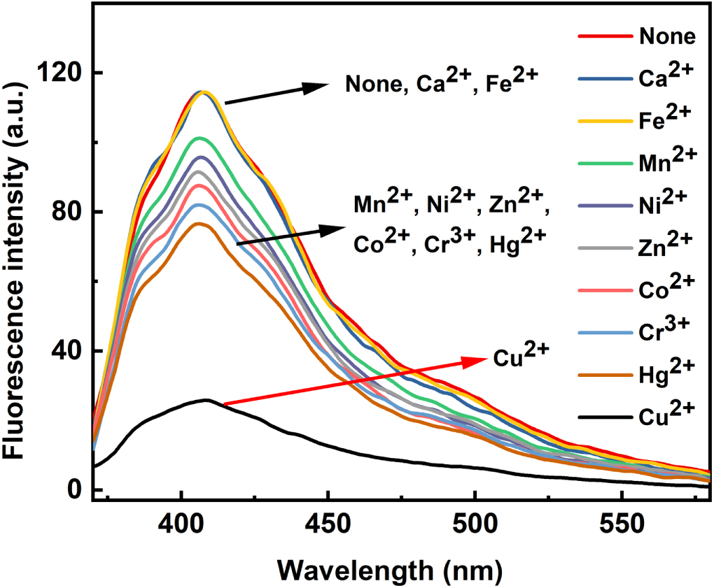A novel conjugated polymer fluorescence probe for the detection of ...