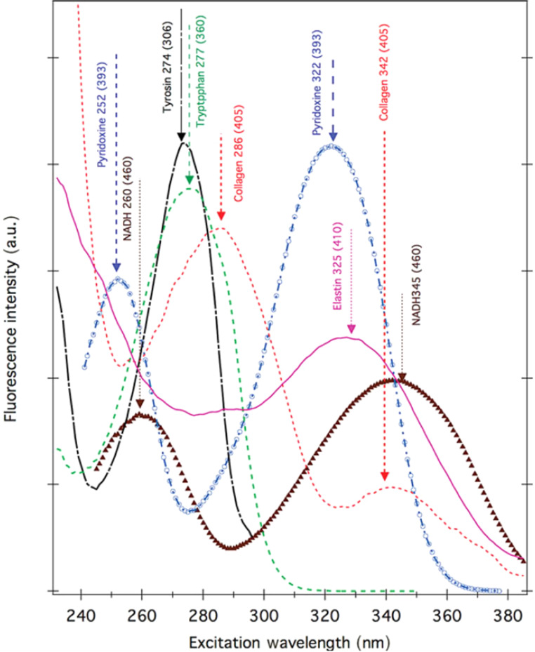 Advances in ultraviolet microscopy - IOPscience