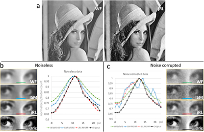 A joint Richardson—Lucy deconvolution algorithm for the reconstruction of multifocal structured ...