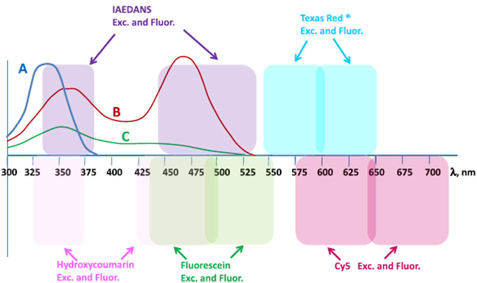 The intrinsic fluorescence of FAD and its application in analytical ...