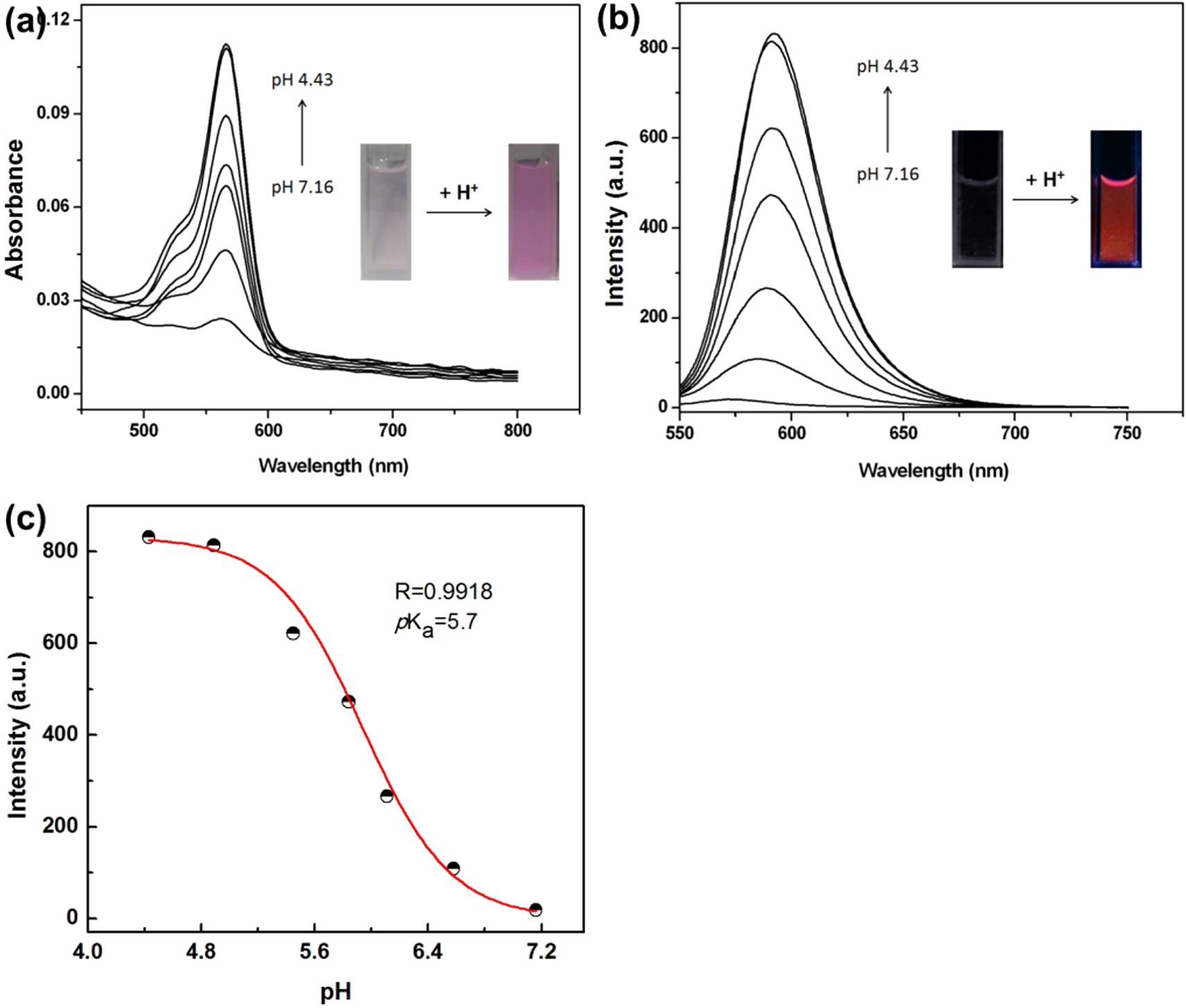 A water-soluble rhodamine B-derived fluorescent probe for pH monitoring ...