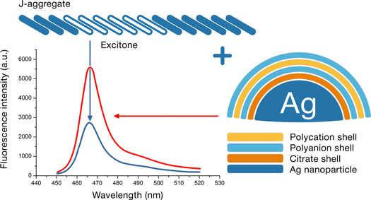 Fluorescent J-aggregates of cyanine dyes: basic research and ...