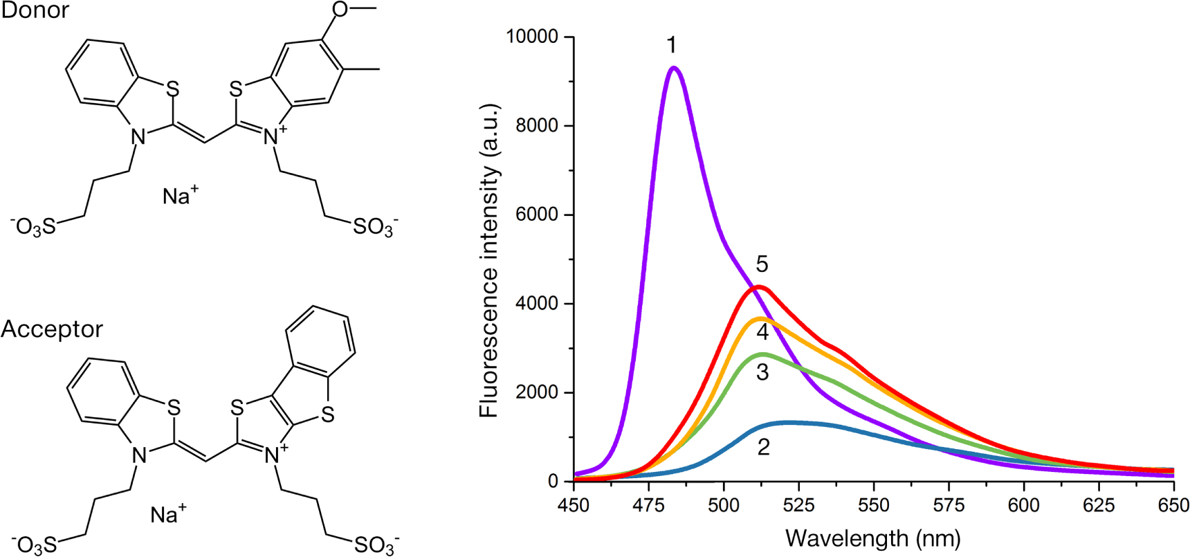 Fluorescent J-aggregates of cyanine dyes: basic research and ...