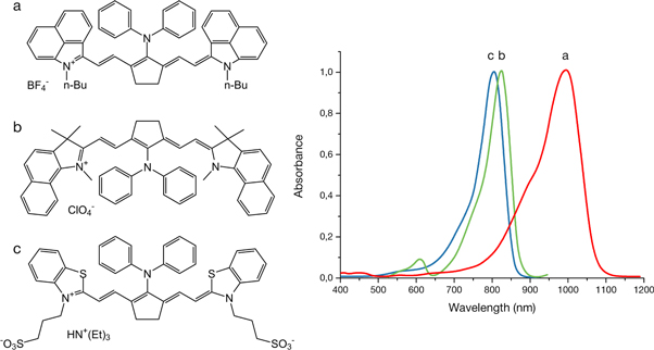 Fluorescent J-aggregates of cyanine dyes: basic research and ...
