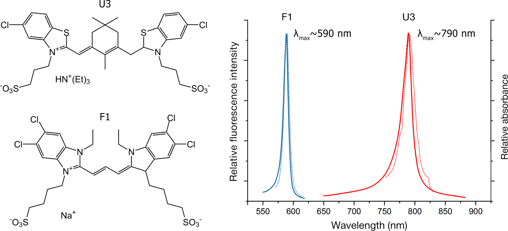 Fluorescent J-aggregates of cyanine dyes: basic research and ...