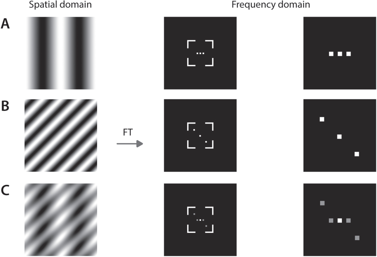 An introduction to optical super-resolution microscopy for the ...
