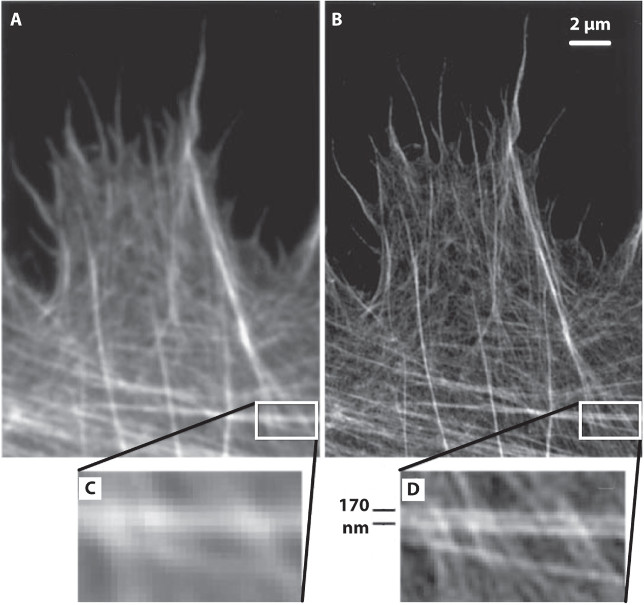 An introduction to optical super-resolution microscopy for the ...