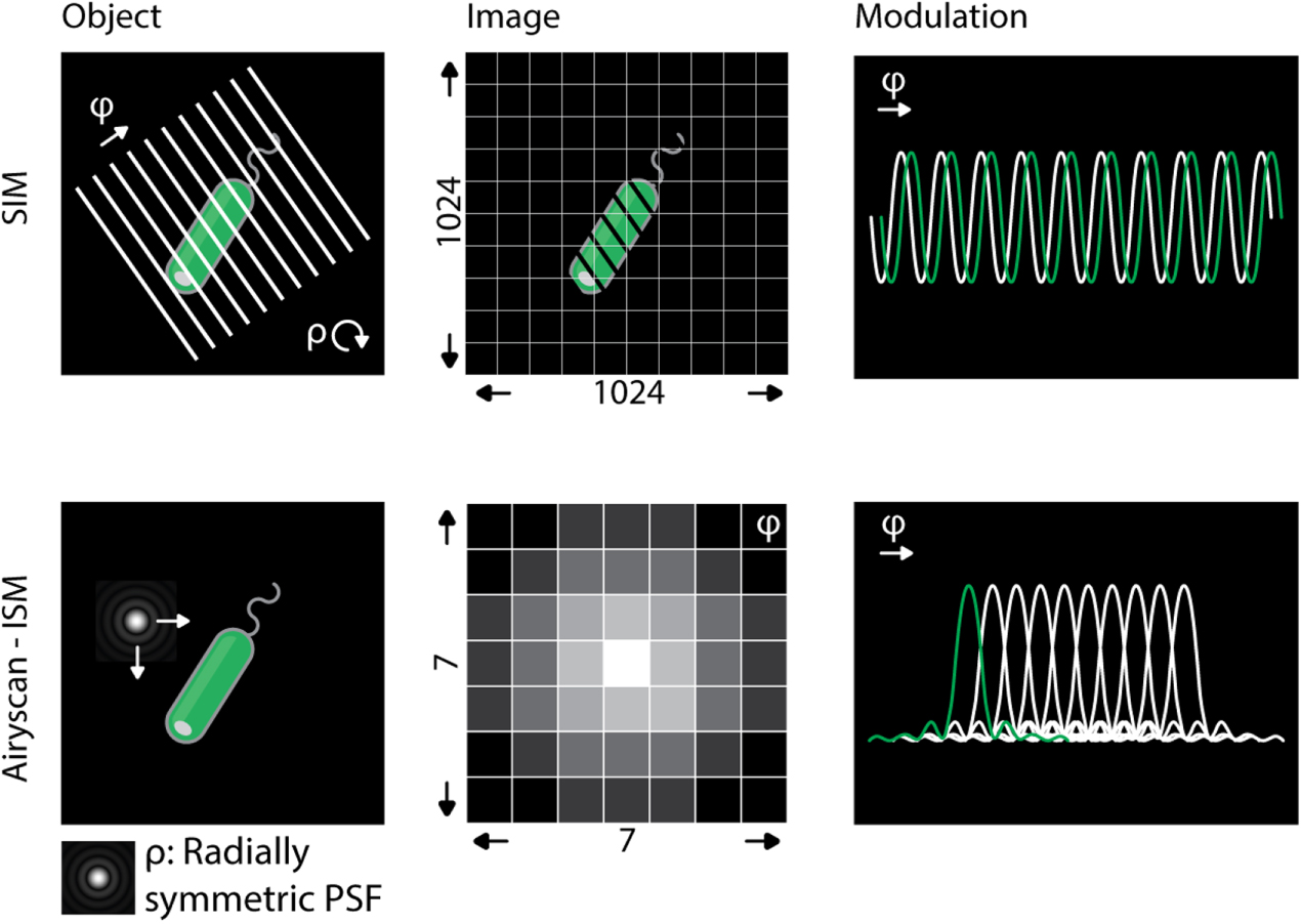 An introduction to optical super-resolution microscopy for the ...