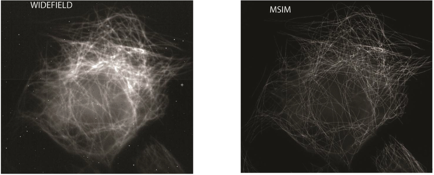 An introduction to optical super-resolution microscopy for the ...
