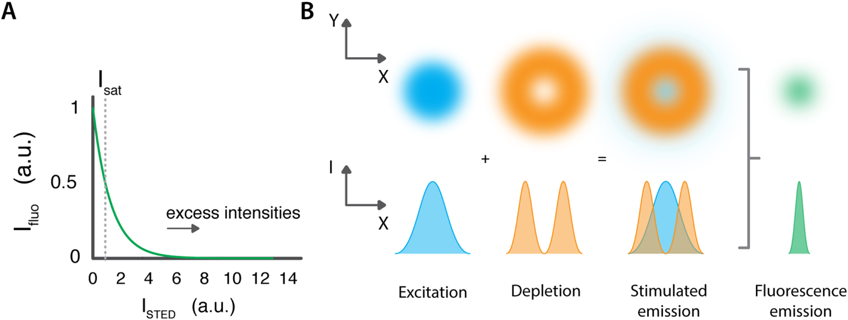 An introduction to optical super-resolution microscopy for the ...