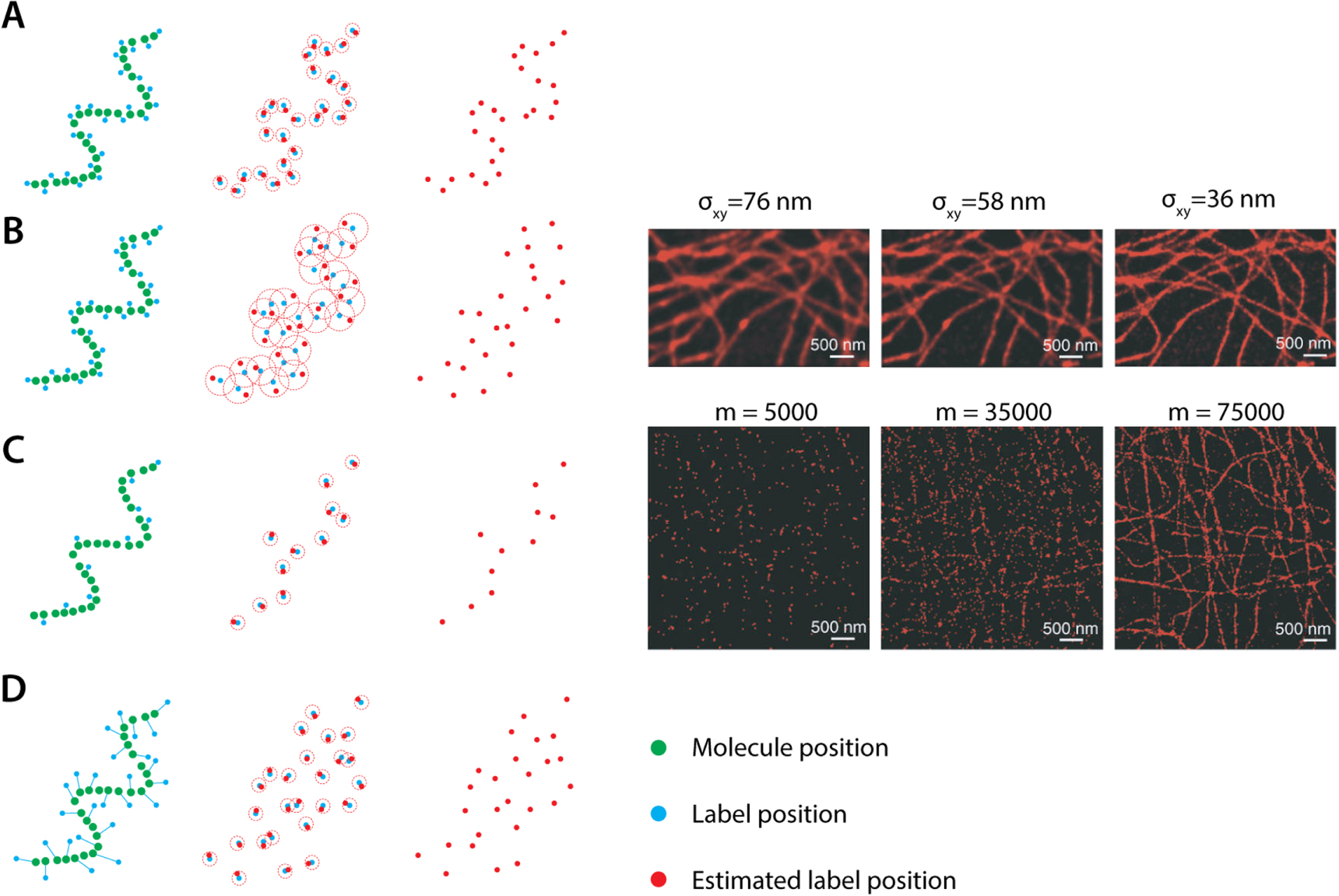 An introduction to optical super-resolution microscopy for the ...
