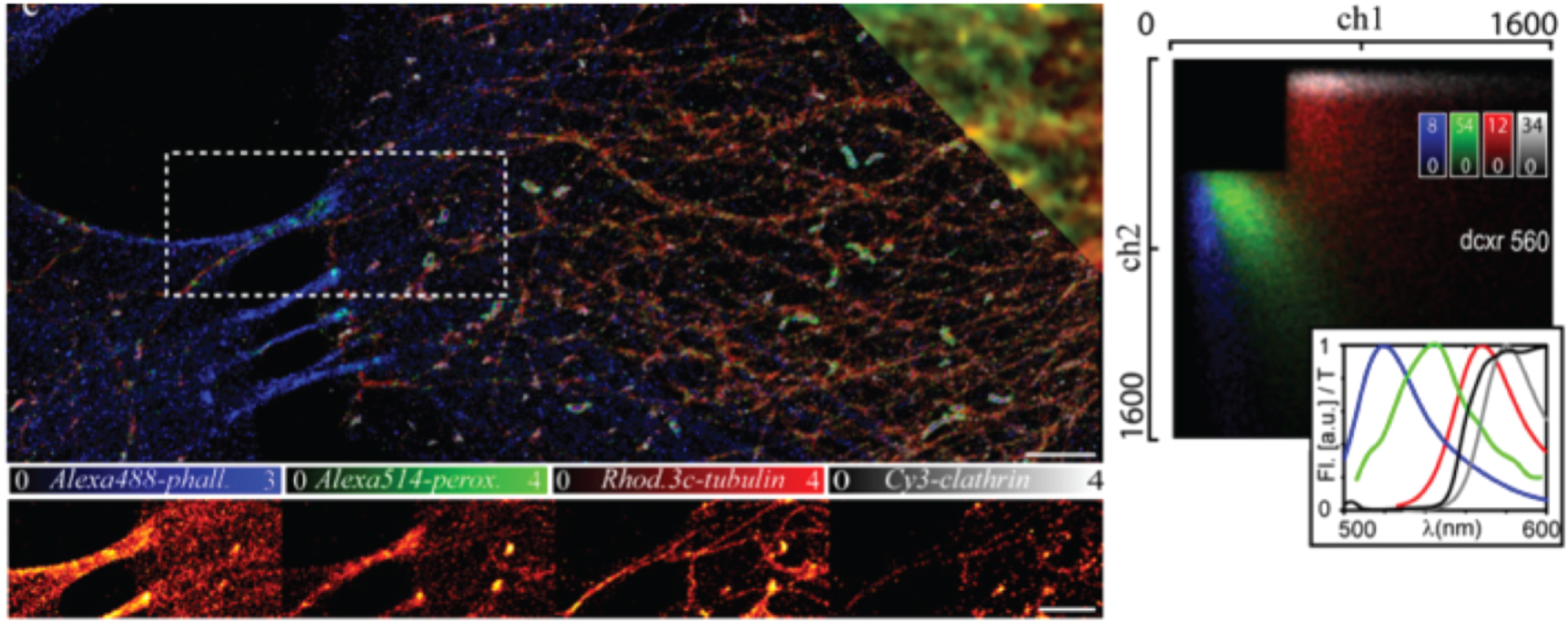 An introduction to optical super-resolution microscopy for the ...