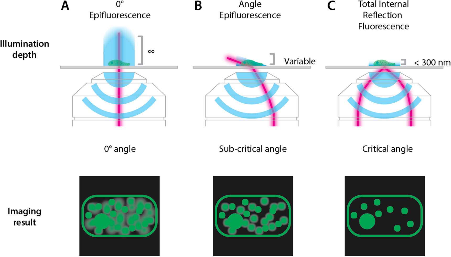 An introduction to optical super-resolution microscopy for the ...