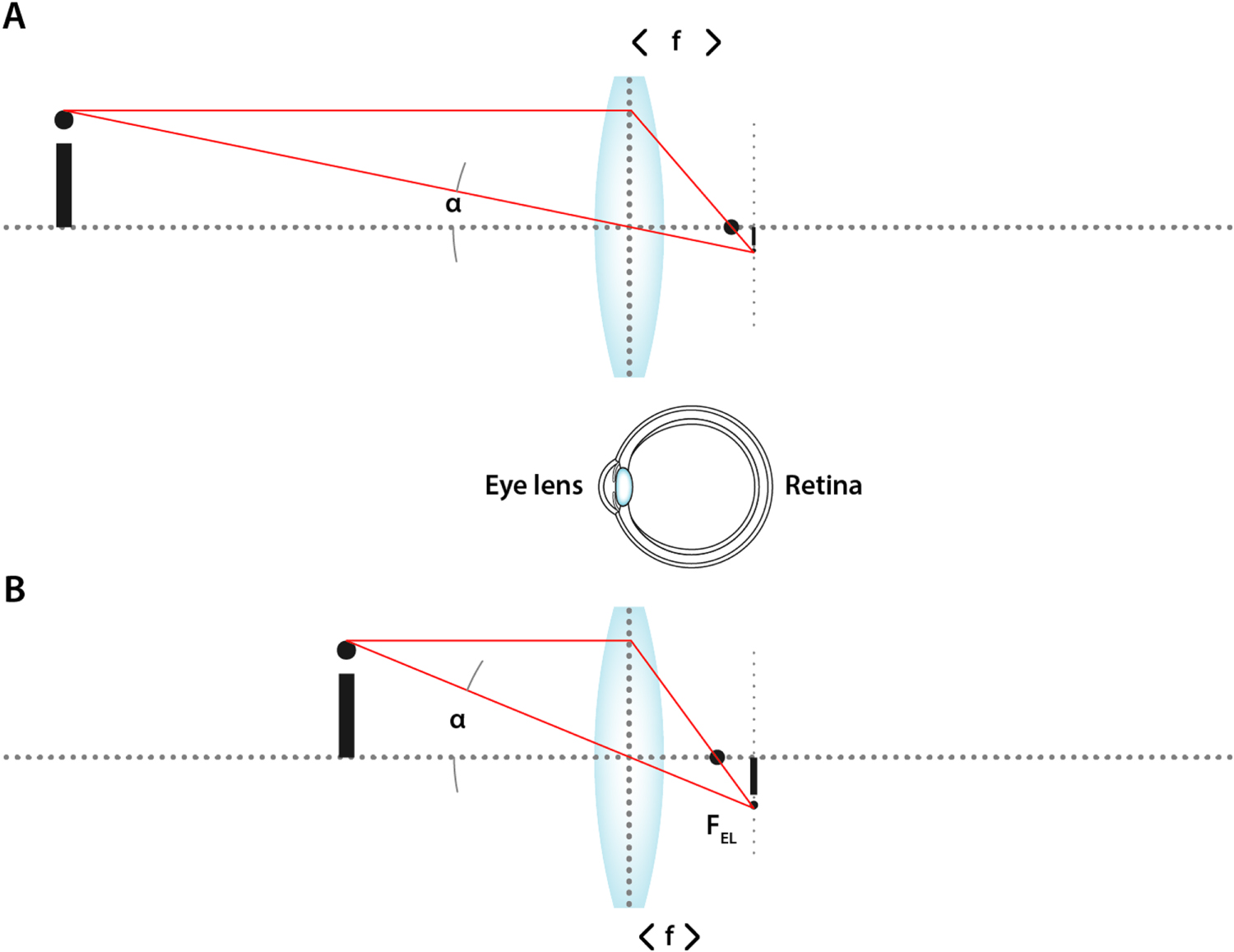An introduction to optical super-resolution microscopy for the ...