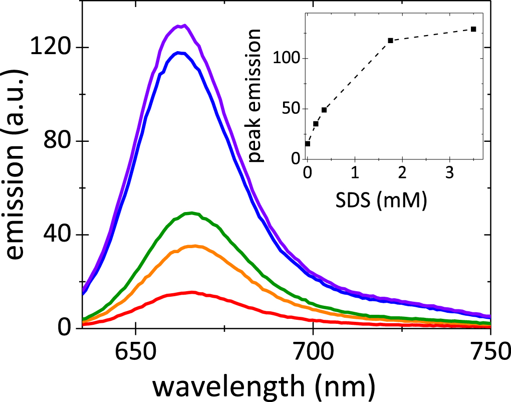 Optimizing fluorophore density for single virus counting: a ...