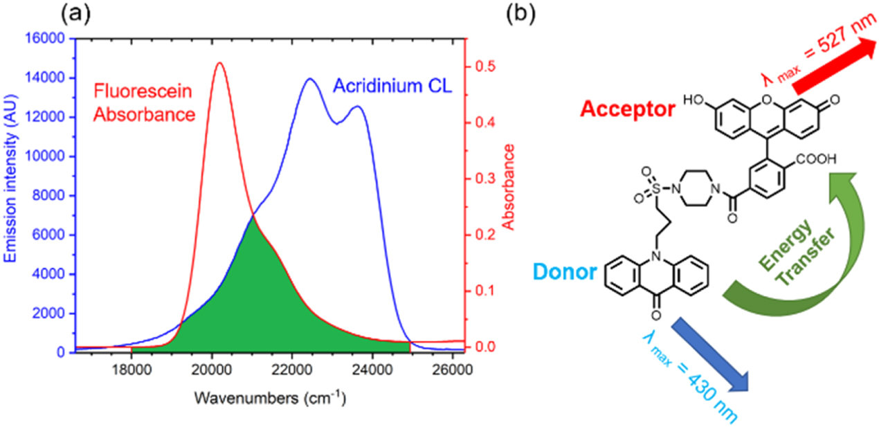 Acridone and acridinium constructs with red-shifted emission - IOPscience