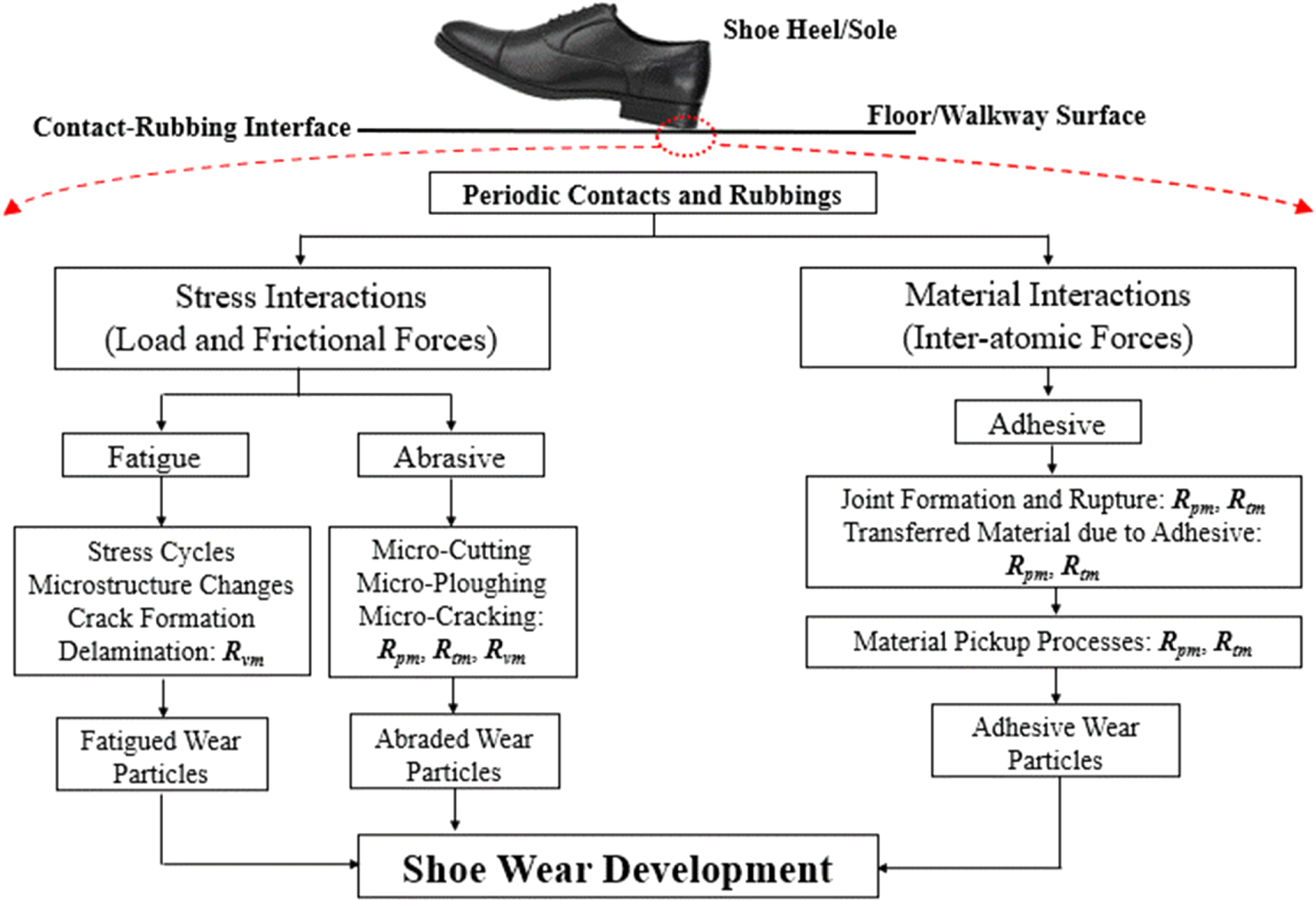 Tribology model to characterise shoe friction and wear behaviours and ...