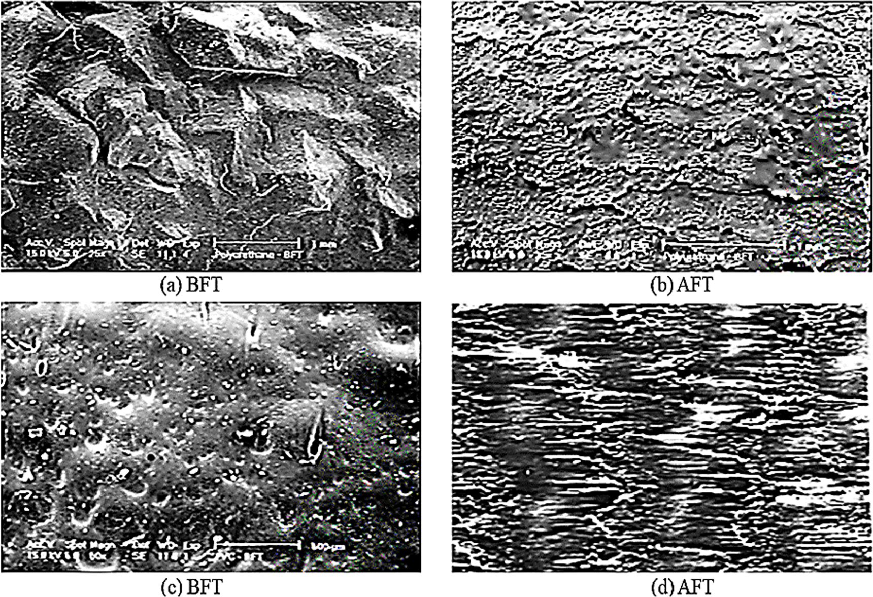 Tribology model to characterise shoe friction and wear behaviours and ...