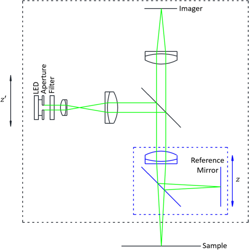 Linearizing the vertical scale of an interferometric microscope and its ...