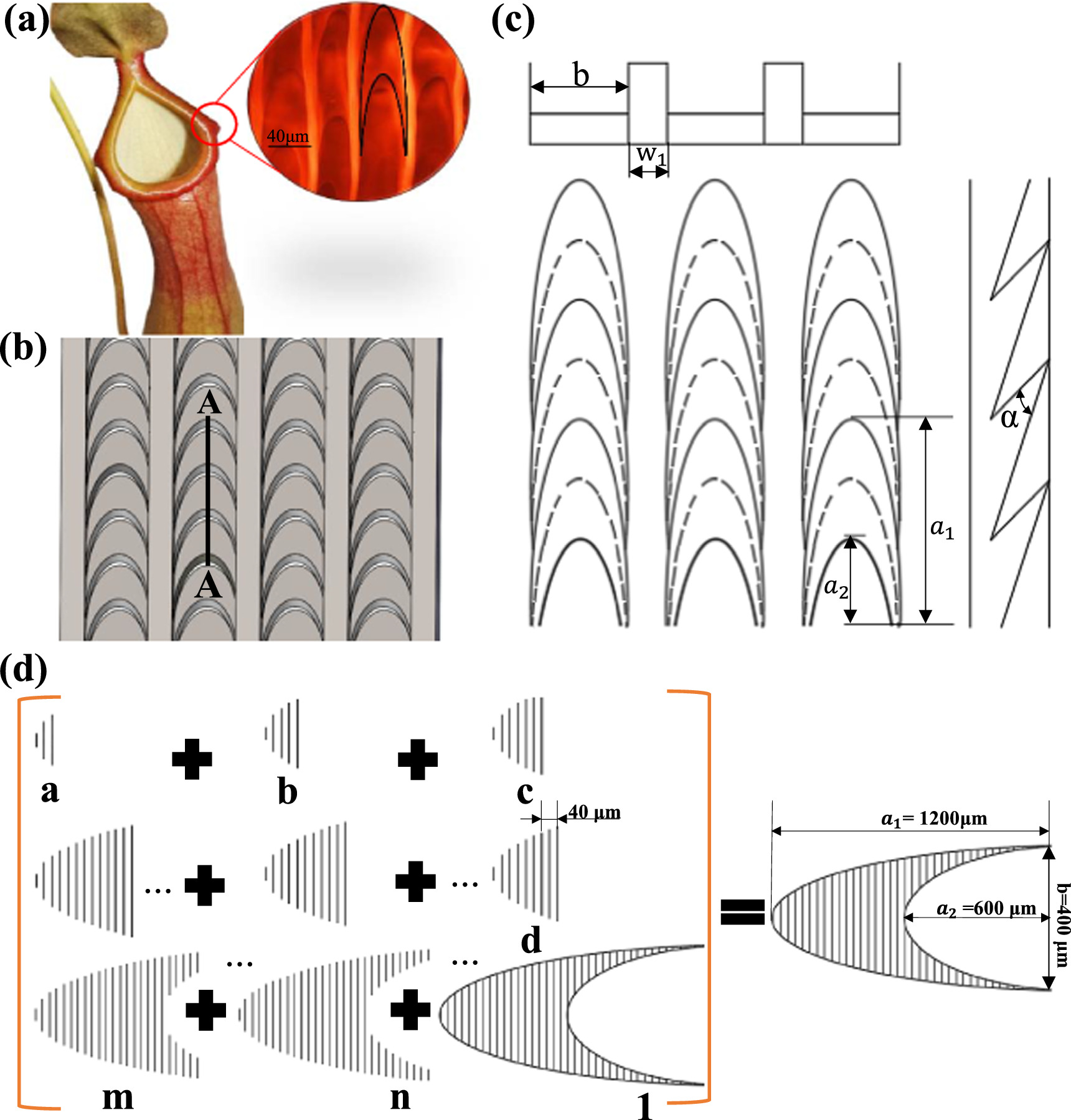 One-step laser preparation of unidirectional liquid spontaneous ...