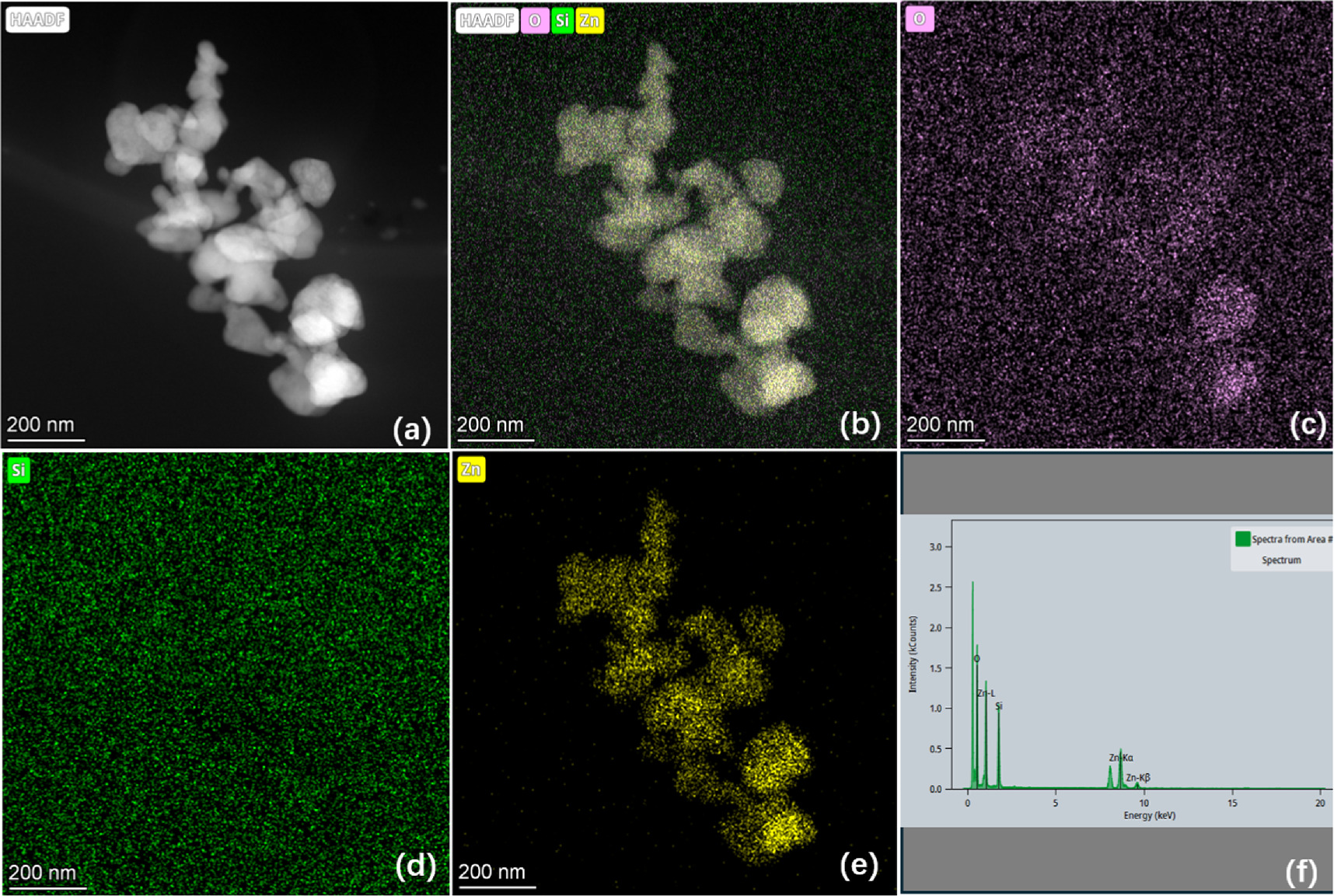 Impact of surface roughness on the antimicrobial efficacy and ...