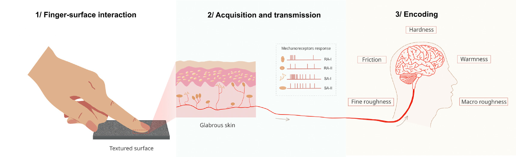 Boundaries of tactile acuity when exploring surfaces - IOPscience