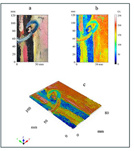 Preserving Van Gogh’s painterly heritage: topographical and fractal ...